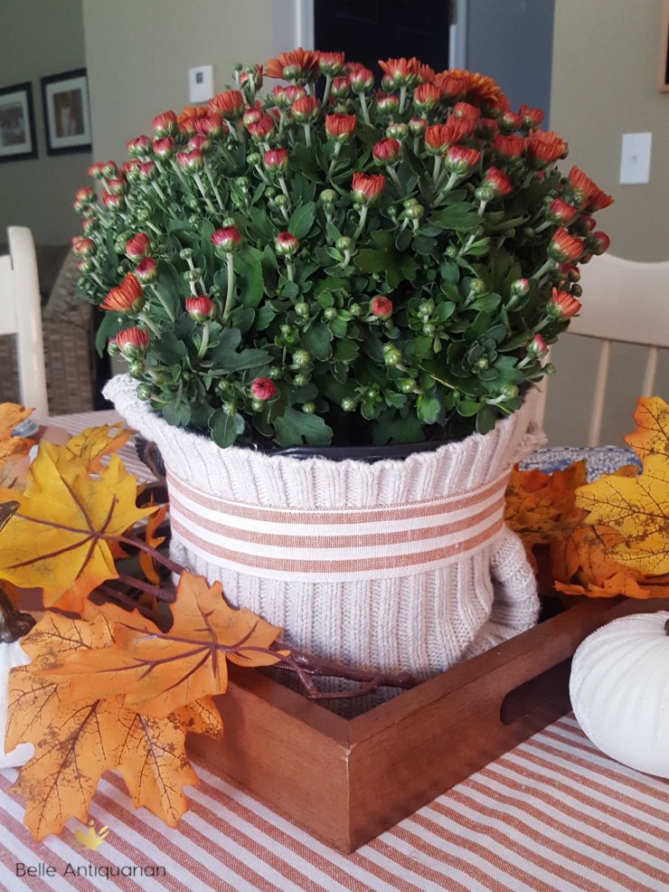 Fall Mums Centerpiece – Belle Antiquarian