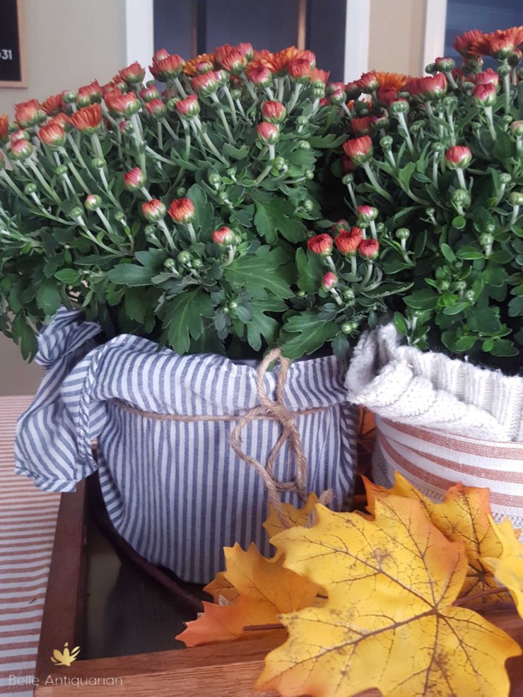 Fall Mums Centerpiece – Belle Antiquarian