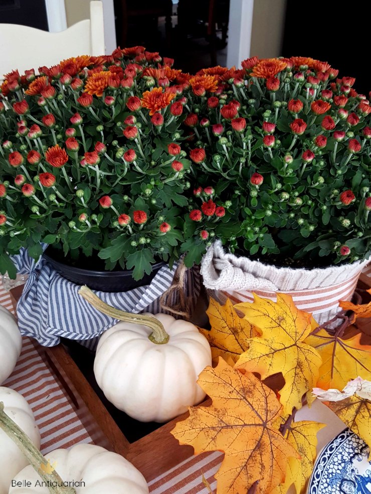 Fall Mums Centerpiece – Belle Antiquarian